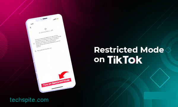 How to Turn ON Restricted Mode in TikTok on iPhone and Android – TechSpite